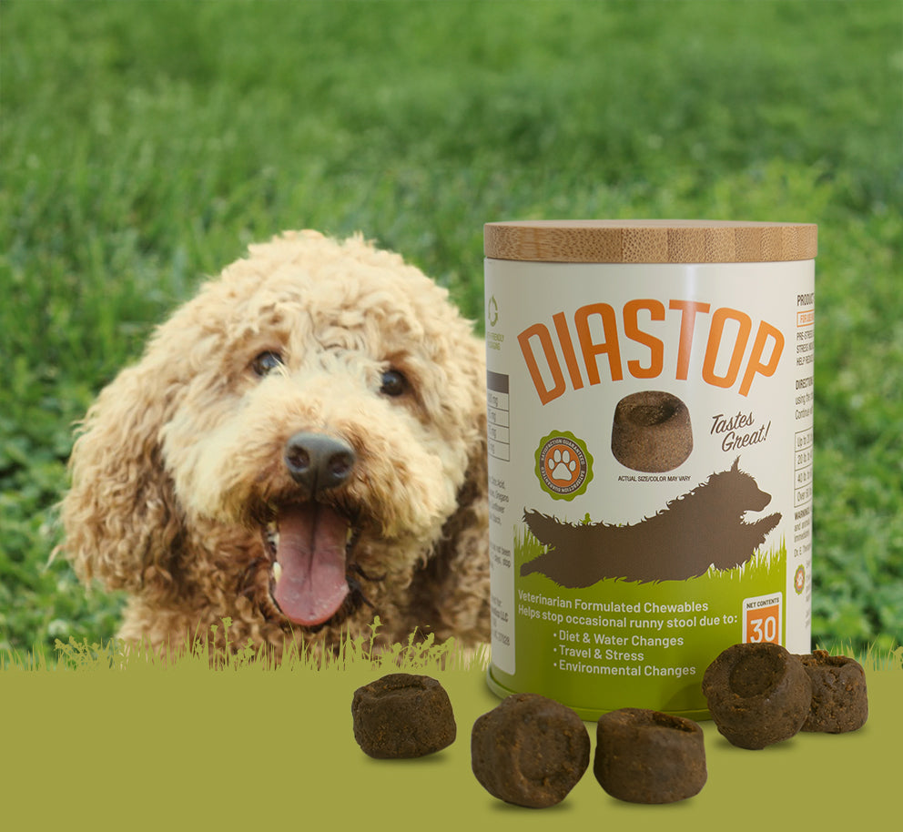 DIASTOP for Dogs - Dr. E Therapeutics
